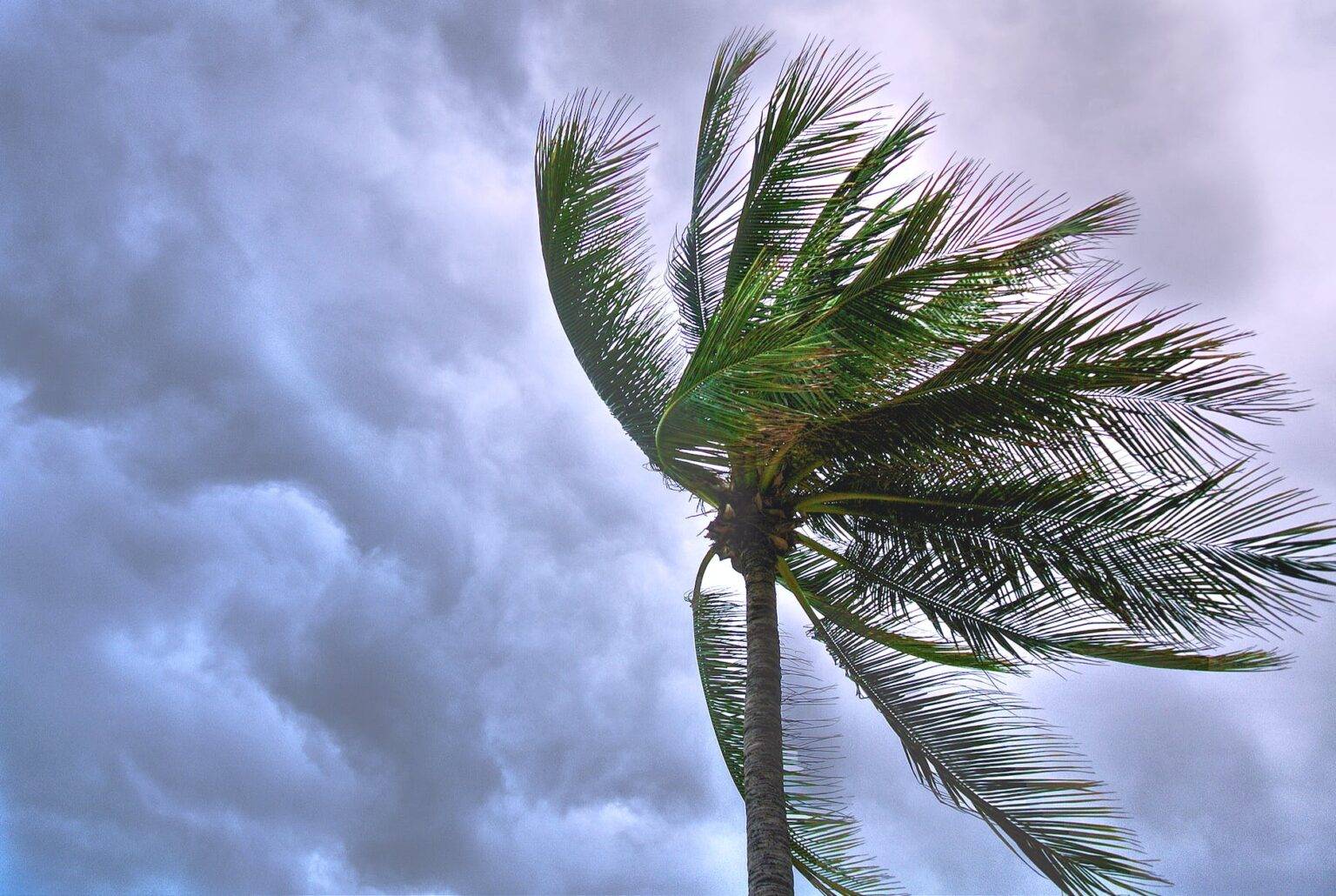 Storm Drain Protection: Preventing Pollution in Outdoor Work Areas ...